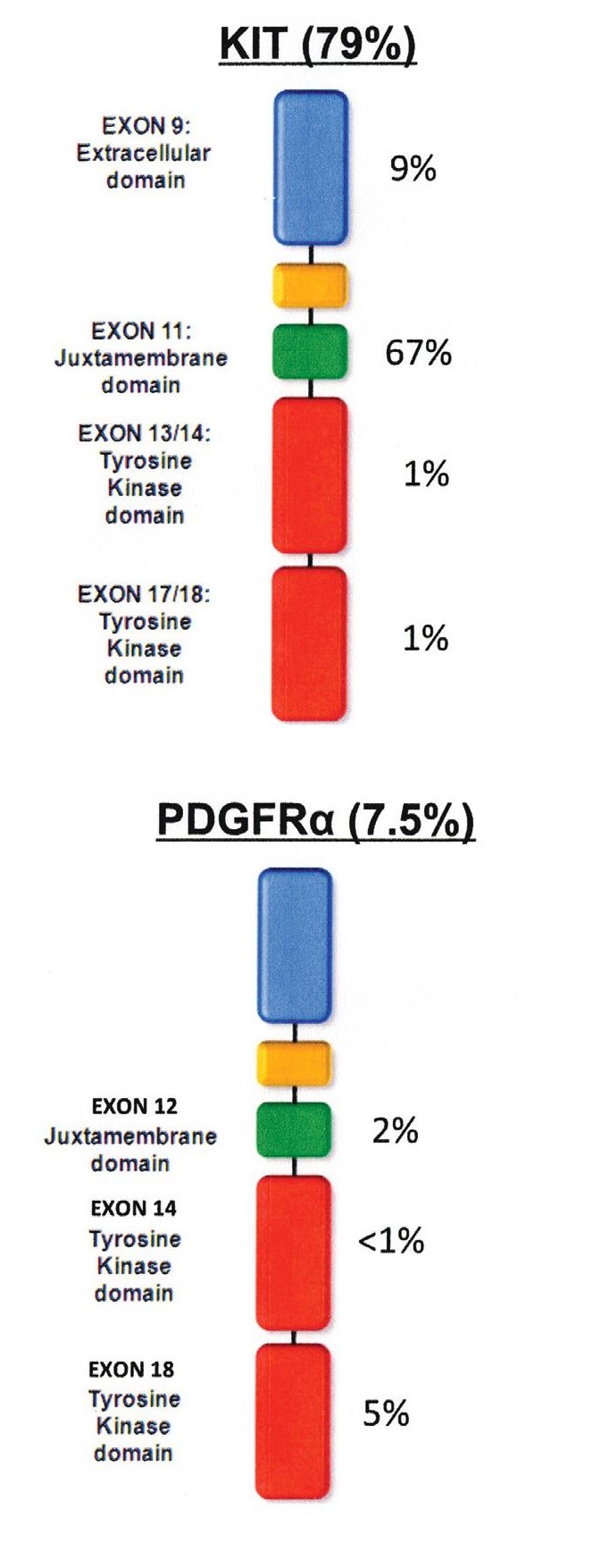 La importancia de conocer la mutación de tu GIST para optimizar y personalizar el tratamiento ...